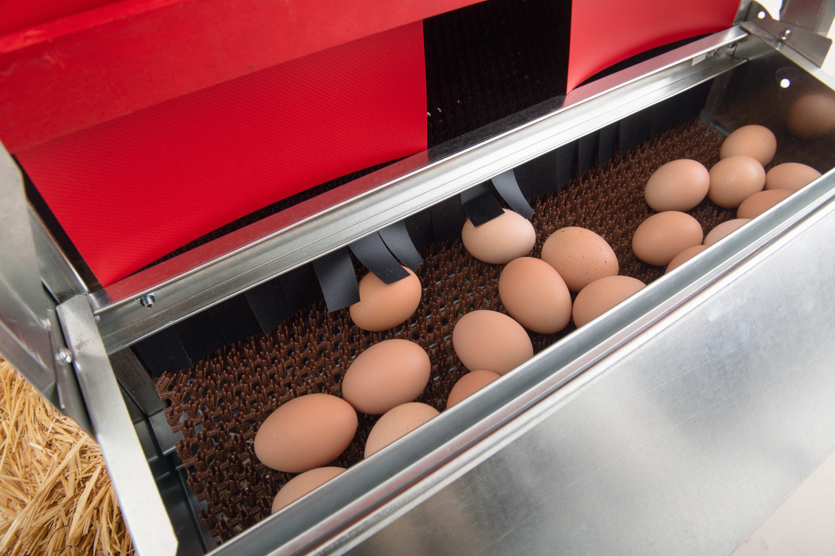 HenGear - Chicken Rollout Nest Boxes