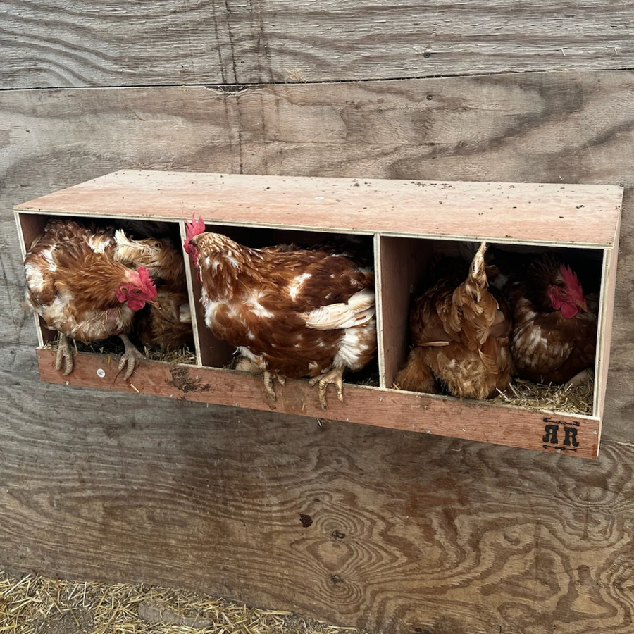 HenGear - Chicken Rollout Nest Boxes