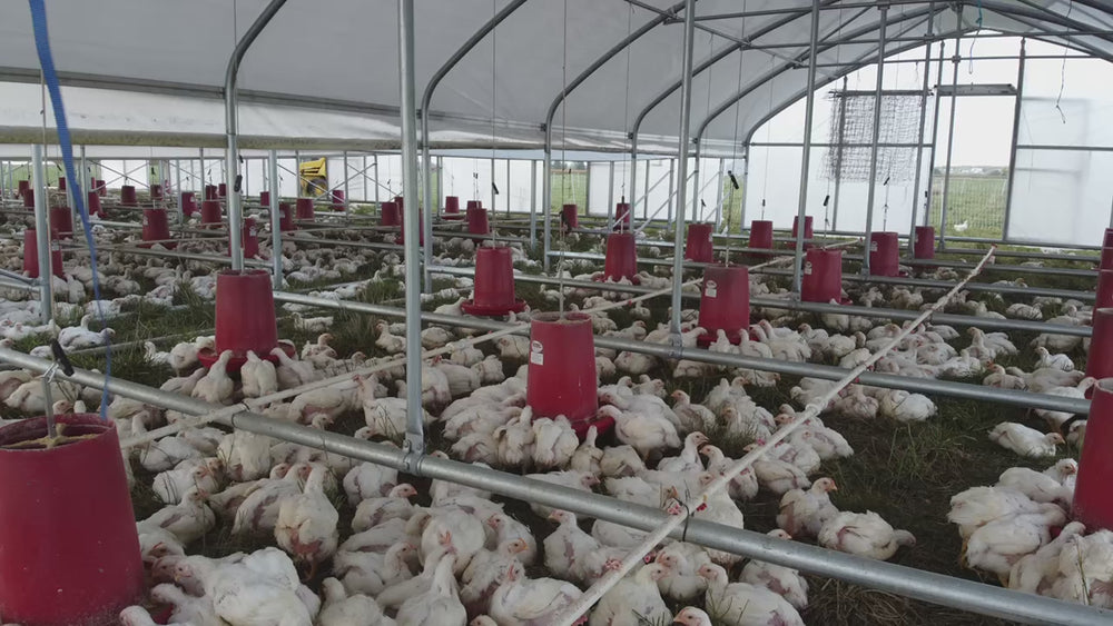 Portable Pasture Chicken Coop - 20'x48' – HenGear