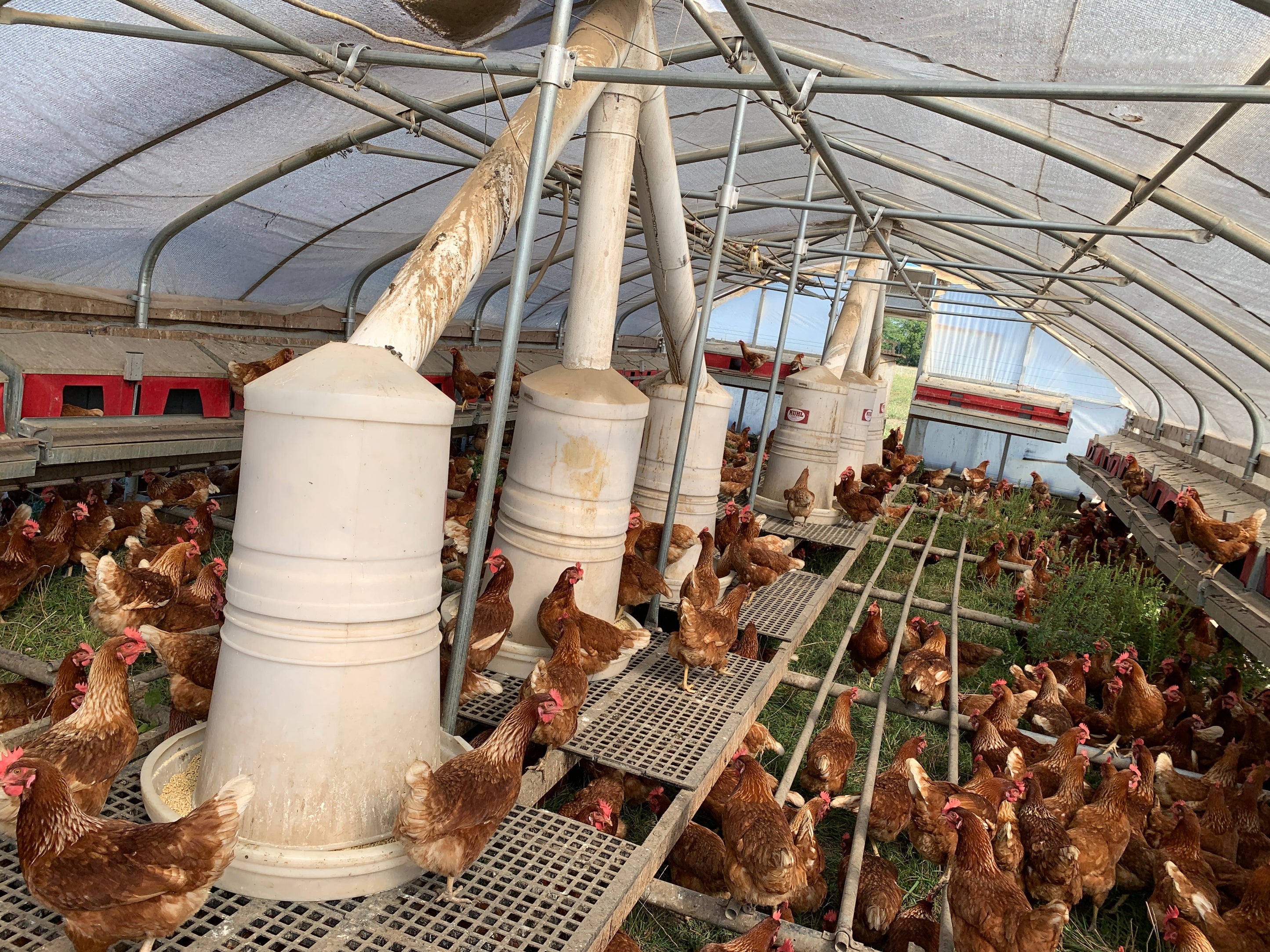 Portable Pasture Chicken Coop - 20'x48' (Up to 1,000 chickens) – HenGear
